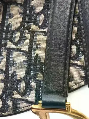 Dior Saddle Oblique Belt Bag