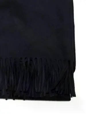AL DUCA D’AOSTA 1902 Fringed Cashmere Scarf - Blue
