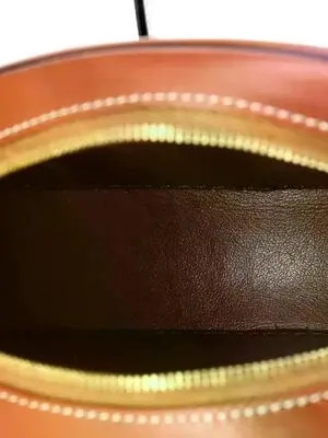 Celine Triomphe Oval Canvas And Leather Crossbody Bag