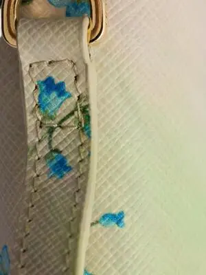 Prada Printed Saffiano-leather Wallet With Shoulder Strap