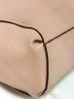 COACH Brooke Carryall Handbag
