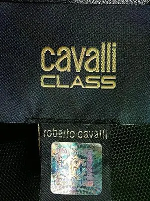 Roberto Cavalli Flock Polka-dot Sheer Blouse