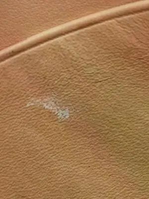 Gucci Ophidia Horsebit Handbag
