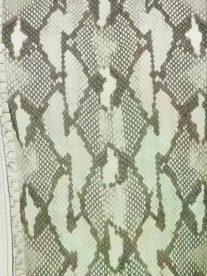 Roberto Cavalli Snake-print Silk Panel Tunic Top