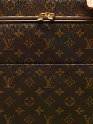 LOUIS VUITTON 2019 Pegase Suitcase