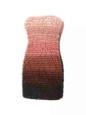 Elisabetta Franchi Ruffled Organza Mini Dress