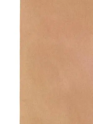 Max Mara Wsdalia Scarf - Brown