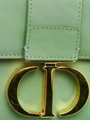 Dior 30 Montaigne Micro Crossbody Bag