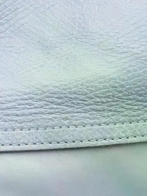 Longchamp Le Pliage Tote Bag
