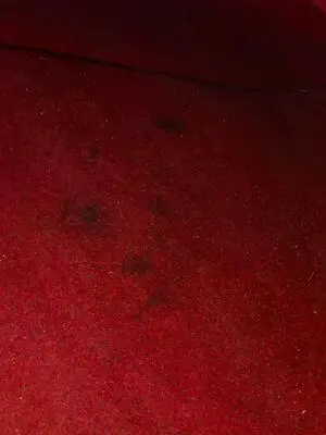 LOUIS VUITTON Trevi Pm Tote Bag