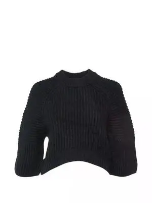 Balenciaga Ribbed-knit Crew Neck Sweater - Black