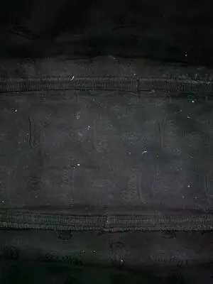 Gucci Gg Imprimé Crossbody Bag