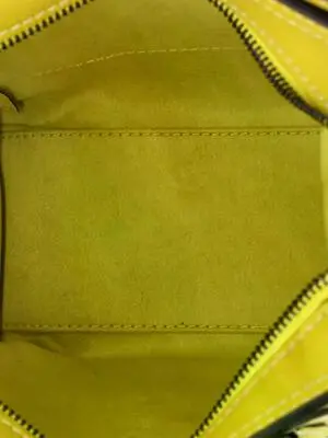 Celine Luggage Bag Grainy Leather Nano Crossbody Bag