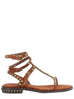 Ash Studded Leather Gladiator Sandals - Brown
