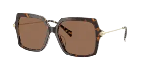 Michael Kors Michael Kors Quogue Sunglasses Brown Solid