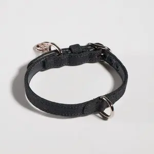 Gucci Gg Canvas Pet Collar