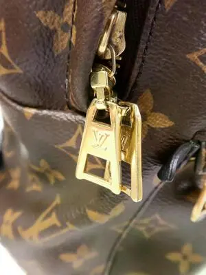 LOUIS VUITTON Palm Springs Monogram Backpack - Brown
