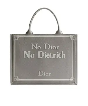 Dior Medium Book Tote With Strap - Gray