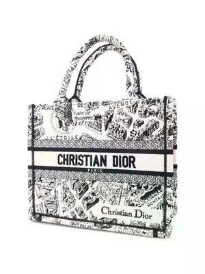 Dior Small Book Tote Bag