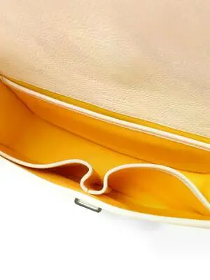 Goyard Pm Belvedere Shoulder Bag