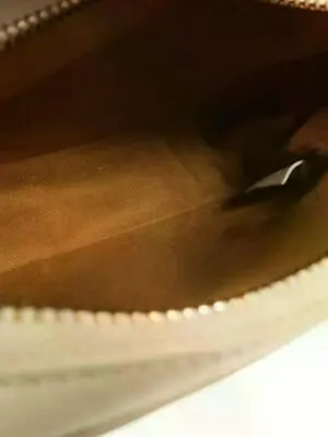 Celine Triomphe Camera Bag