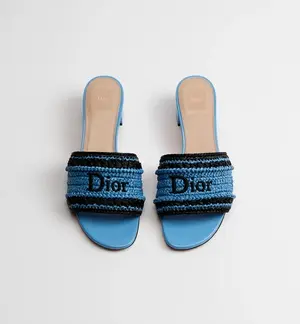 Dior Woven Heeled Slides