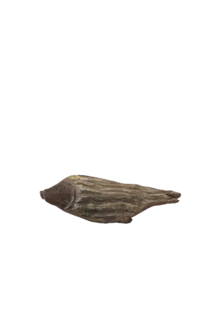 Botanical Boys Driftwood Hand Carved Fish Thirteen Two - Brown