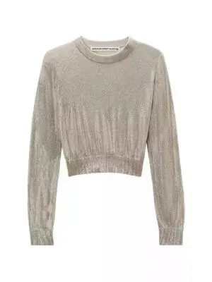 Alexander Wang Embellished Crewneck Long Sleeve Crop Top - Silver
