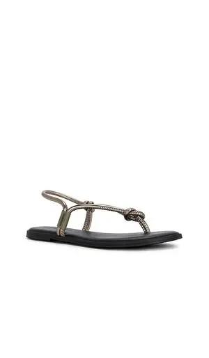 Havaianas Una A?a? Sandal