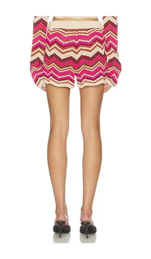 Devon Windsor Crocheted Metallic Drawstring Shorts