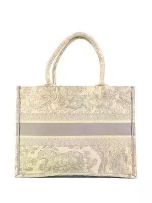 Dior Book Tote Bag