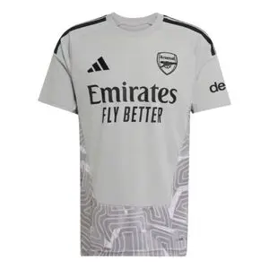 Adidas Arsenal Fc 26/27 Goalkeeper Jersey - Grey/black