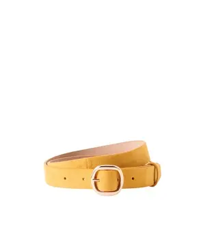 Gabriela Hearst Suede Belt With Gold Buckle - Yellow