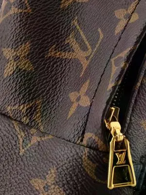 LOUIS VUITTON Palm Springs Mini Backpack
