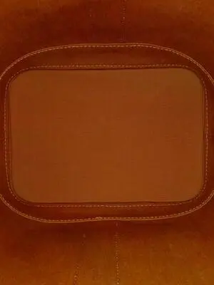 Celine Small Triomphe Coated Canvas Bucket Bag