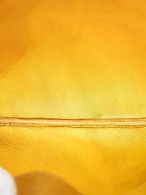 Celine Bicolor Lambskin Coeur Clutch Bag