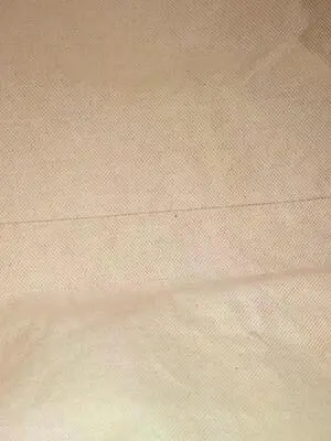 Gucci Large Gg Canvas Bella Tote Bag - Neutrals