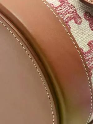 Celine Small Triomphe Coated Canvas Tambour Crossbody Bag