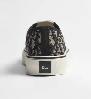 Dior Saltwind Low Top Sneakers