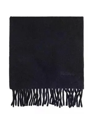 Max Mara Fringed Logo-embroidered Scarf - Blue