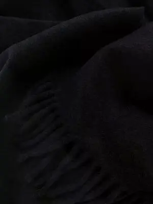 Max Mara Fringed Logo-embroidered Scarf