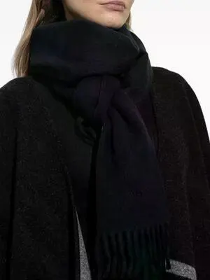 Max Mara Fringed Logo-embroidered Scarf