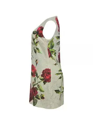 Dolce & Gabbana Rose-print Sleeveless Round Neck Dress