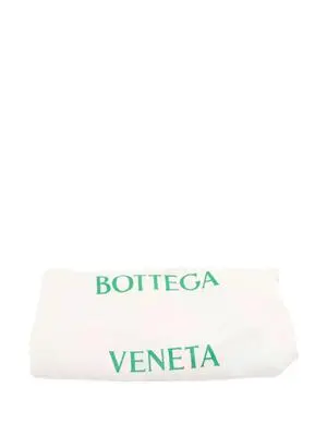 Bottega Veneta Small Raffia The Point Triangle Satchel