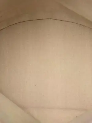 LOUIS VUITTON Monogram Mini Lin Bucket Pm Shoulder Bag