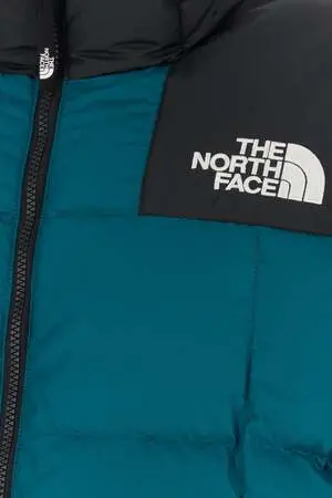 The North Face Quilted Down Jacket