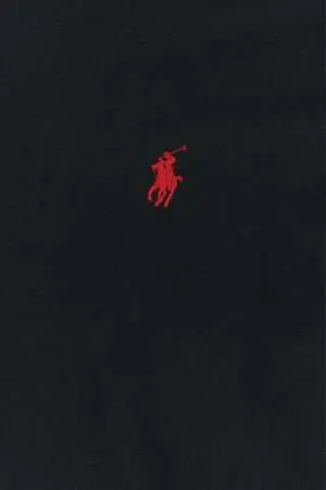 Polo Ralph Lauren Cotton T-shirt