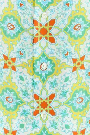 PANTAMOLLE Printed Satin Gajardo Shirt