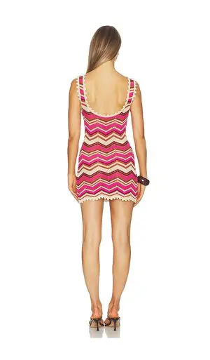 Devon Windsor Alba Crochet Mini Dress