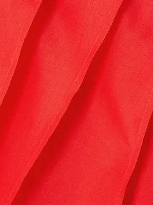 Altuzarra Pleated Silk-organza Midi Skirt